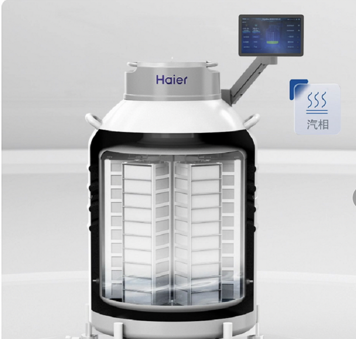 Vapour Phase Storage